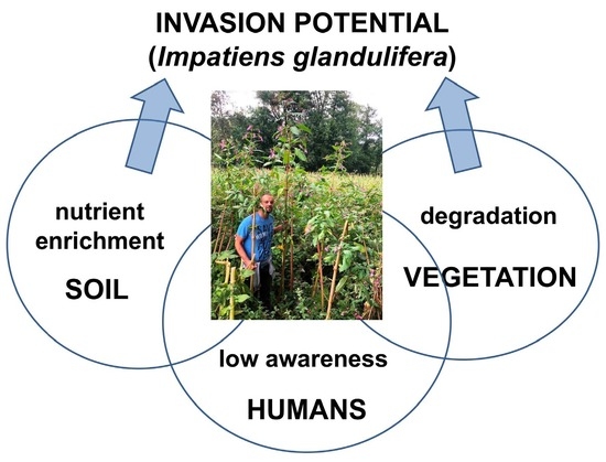Plants | Special Issue : Ecology of Invasive Plants