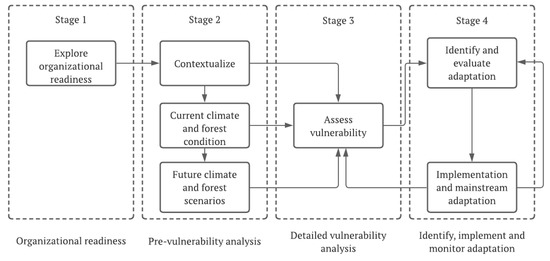The Impact of Climate Change on Forest Development: A Sustainable ...