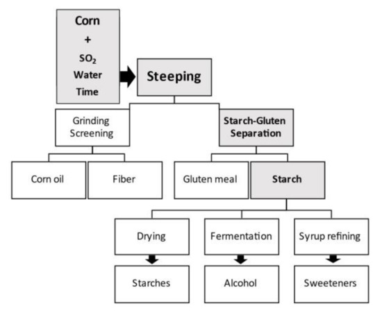 Corn Starch: Quality and Quantity Improvement for Industrial Uses