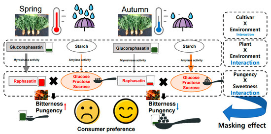 Seasonal Effects of Glucosinolate and Sugar Content Determine the ...