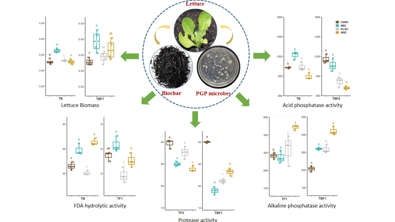 Plants | Free Full-Text | The Integrated Effect of Microbial Inoculants ...