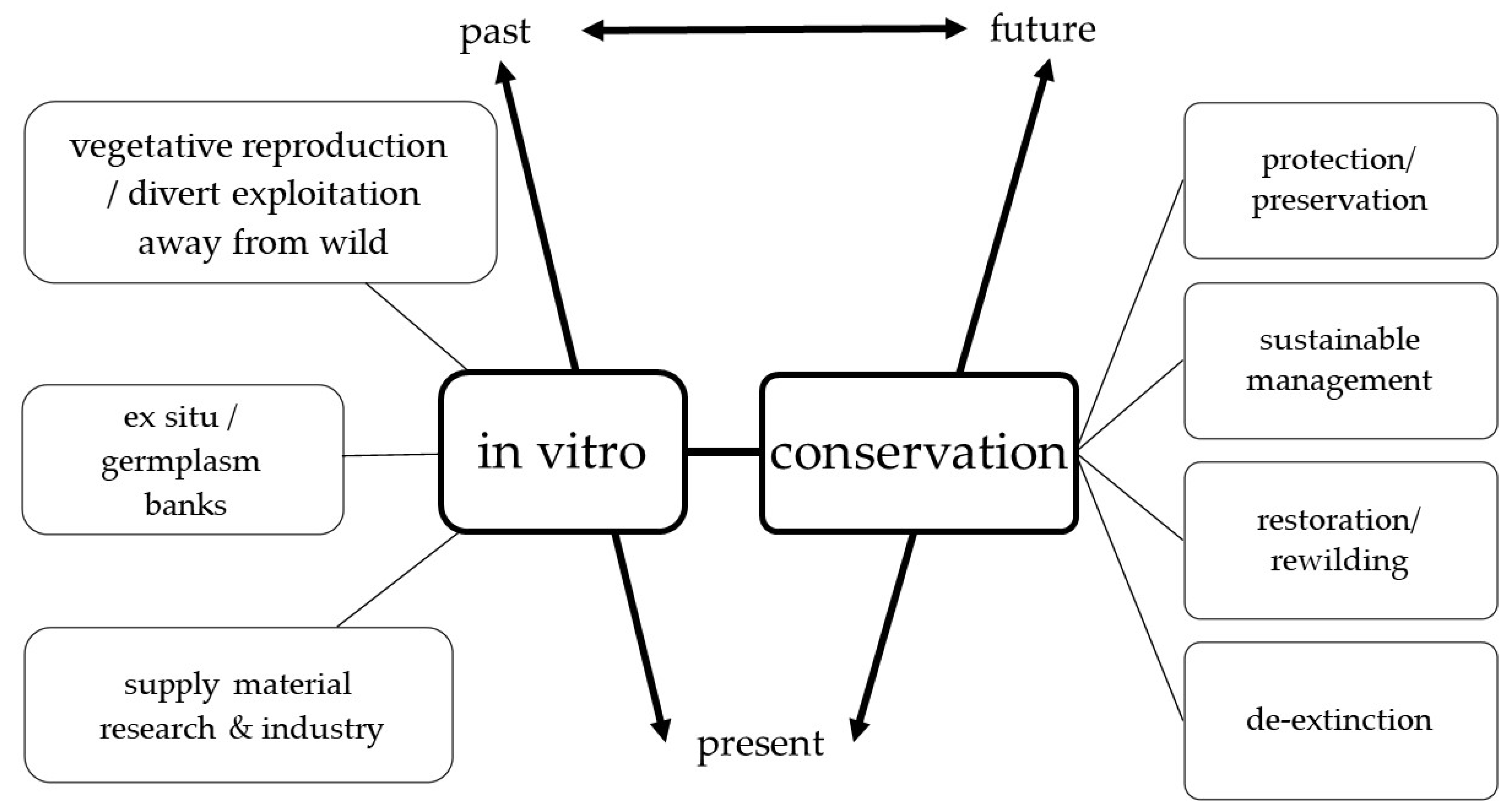 In Vitro Technology in Plant Conservation: Relevance to Biocultural ...