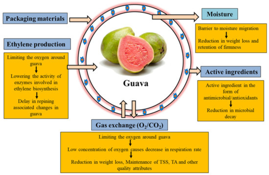 Recent Advances in Novel Packaging Technologies for Shelf-Life ...