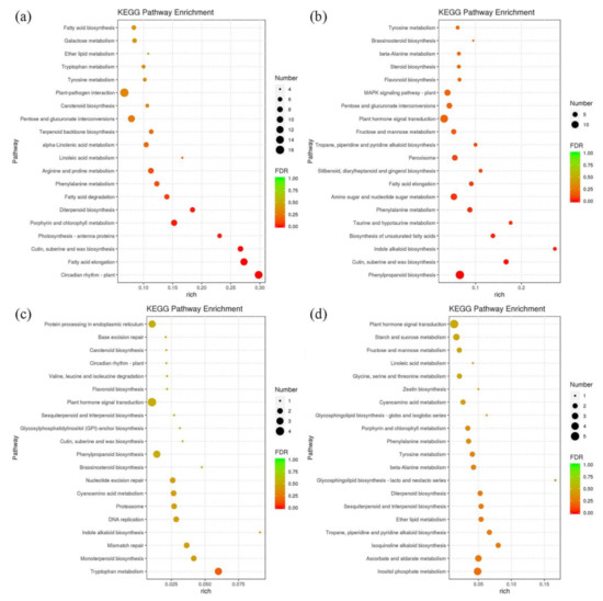 Plant Breeding, Genetics and Genomics