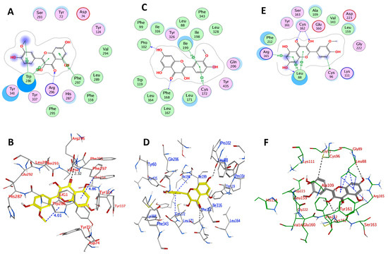 A Major Diplotaxis harra-Derived Bioflavonoid Glycoside as a Protective ...