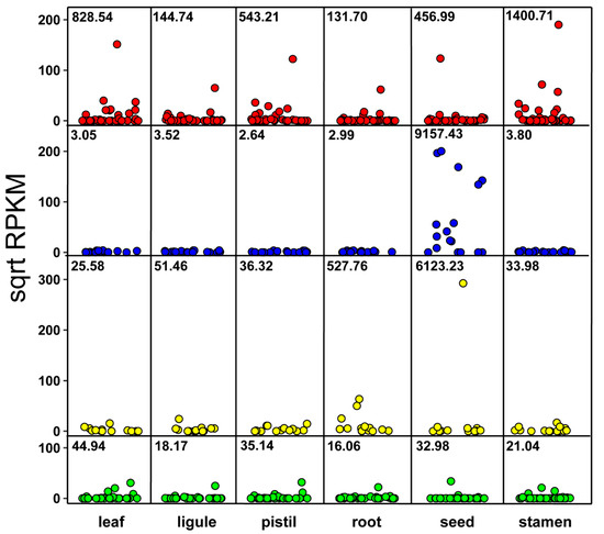 Plant Breeding, Genetics and Genomics