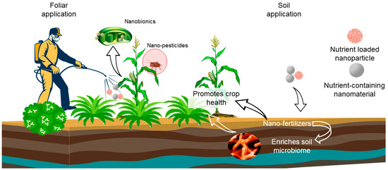 Nanobionics in Crop Production: An Emerging Approach to Modulate Plant ...