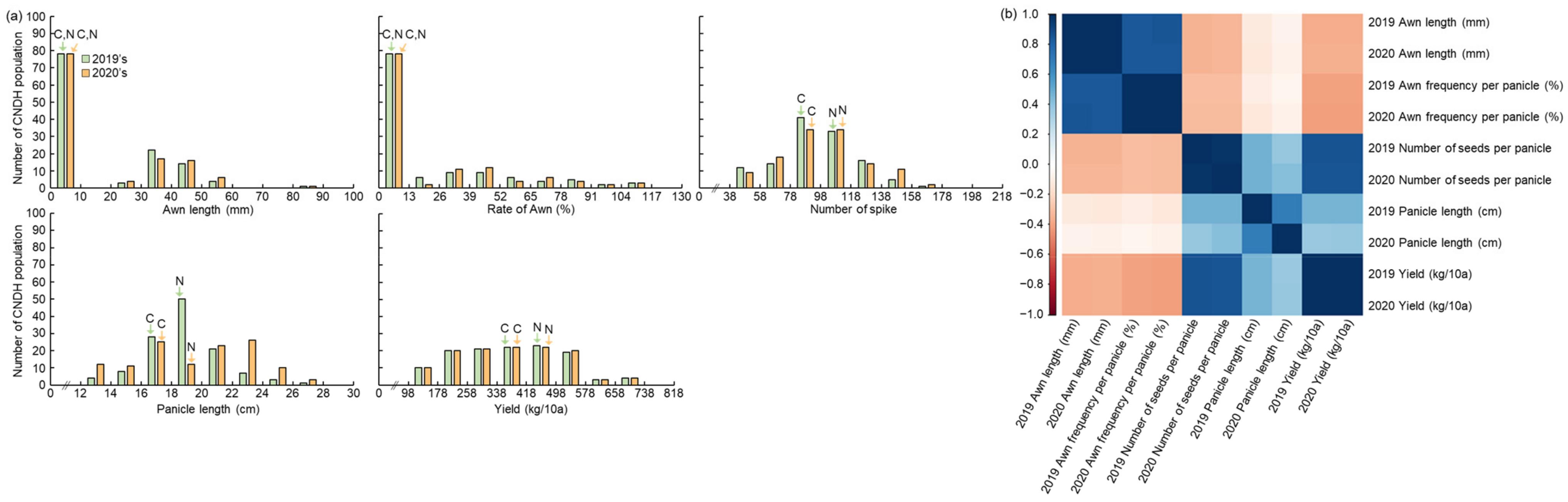 Plants | Free Full-Text | Phenotype and Genotype Interaction Underlying ...
