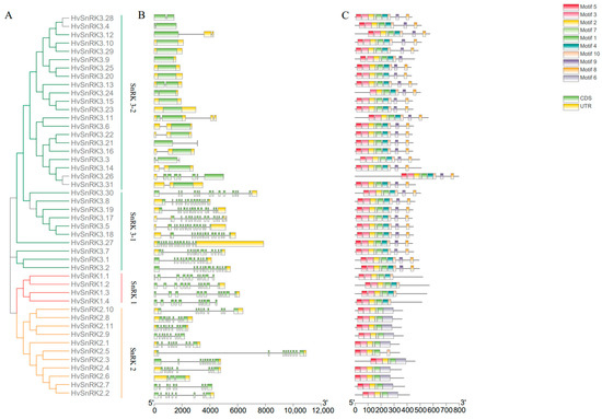 Genome-Wide Identification, Expression Pattern and Sequence Variation ...