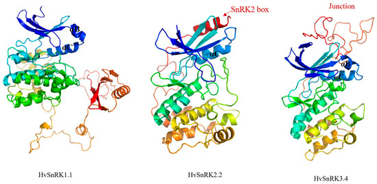 Genome-Wide Identification, Expression Pattern and Sequence Variation ...