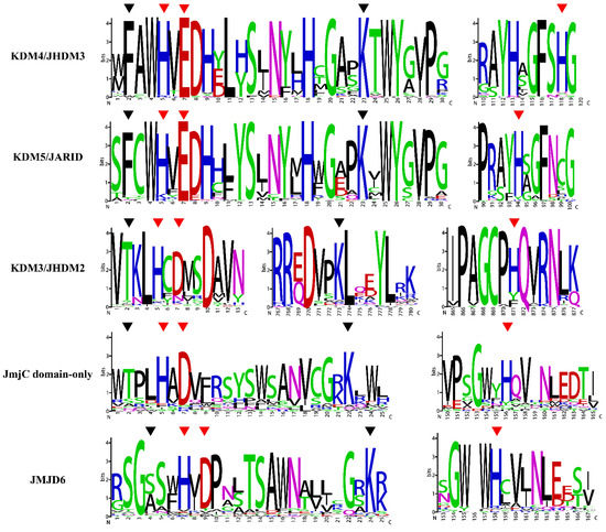 Evolutionary History and Functional Diversification of the JmjC Domain ...