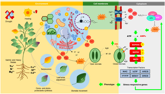 Abiotic Stresses in Plants and Their Markers: A Practice View of Plant ...