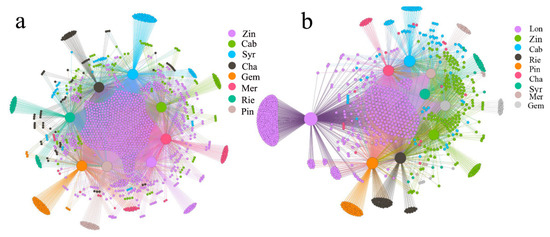 Grape Cultivar Features Differentiate the Grape Rhizosphere Microbiota