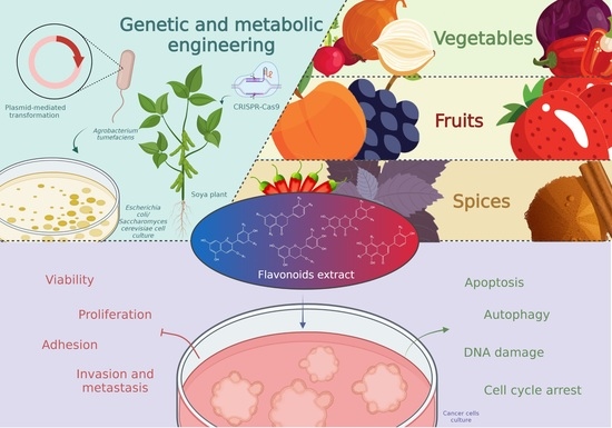 Plants | Special Issue : Antioxidant Activity of Plant Extracts