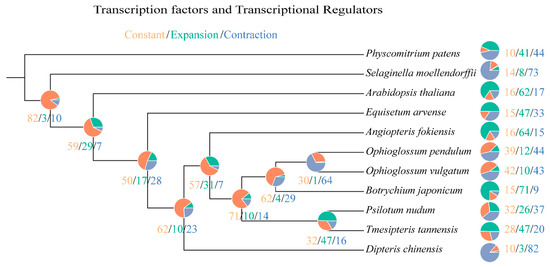 Analysis of Comparative Transcriptome and Positively Selected Genes ...