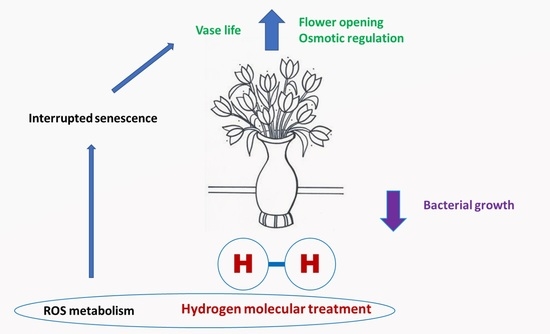 Plants | Special Issue : Production and Role of Molecular Hydrogen in ...