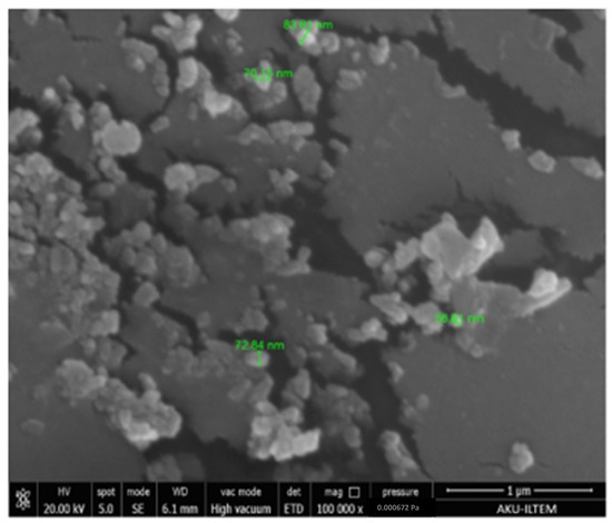 Cytotoxic and Genotoxic Evaluation of Biosynthesized Silver Nanoparticles Using Moringa oleifera ...