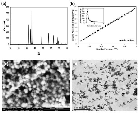 Plants | Free Full-Text | The Integrative Effects of Biochar and ZnO Nanoparticles for Enhancing ...