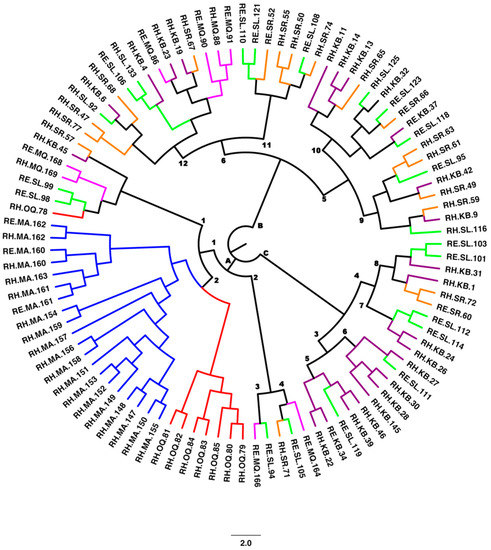 Genetic Diversity of Rhanterium eppaposum Oliv. Populations in Kuwait ...