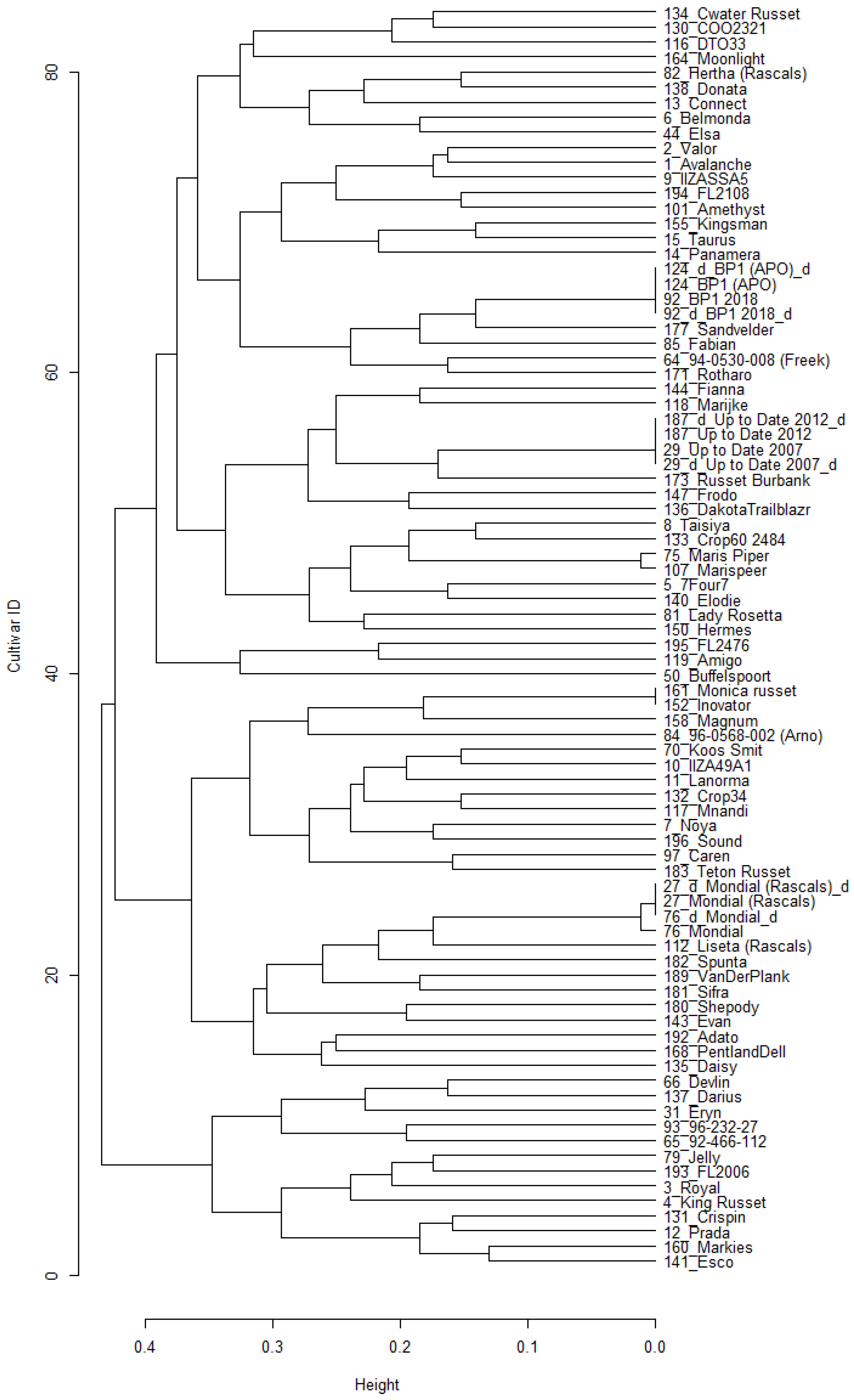 Potato Cultivar Identification in South Africa Using a Custom SNP Panel