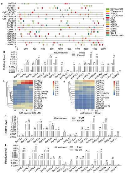 Genomic Survey of PEBP Gene Family in Rice: Identification ...