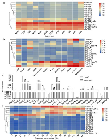 Genomic Survey of PEBP Gene Family in Rice: Identification ...