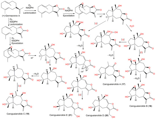 Ethnobotanical Uses, Phytochemical Composition, Biosynthesis, and ...