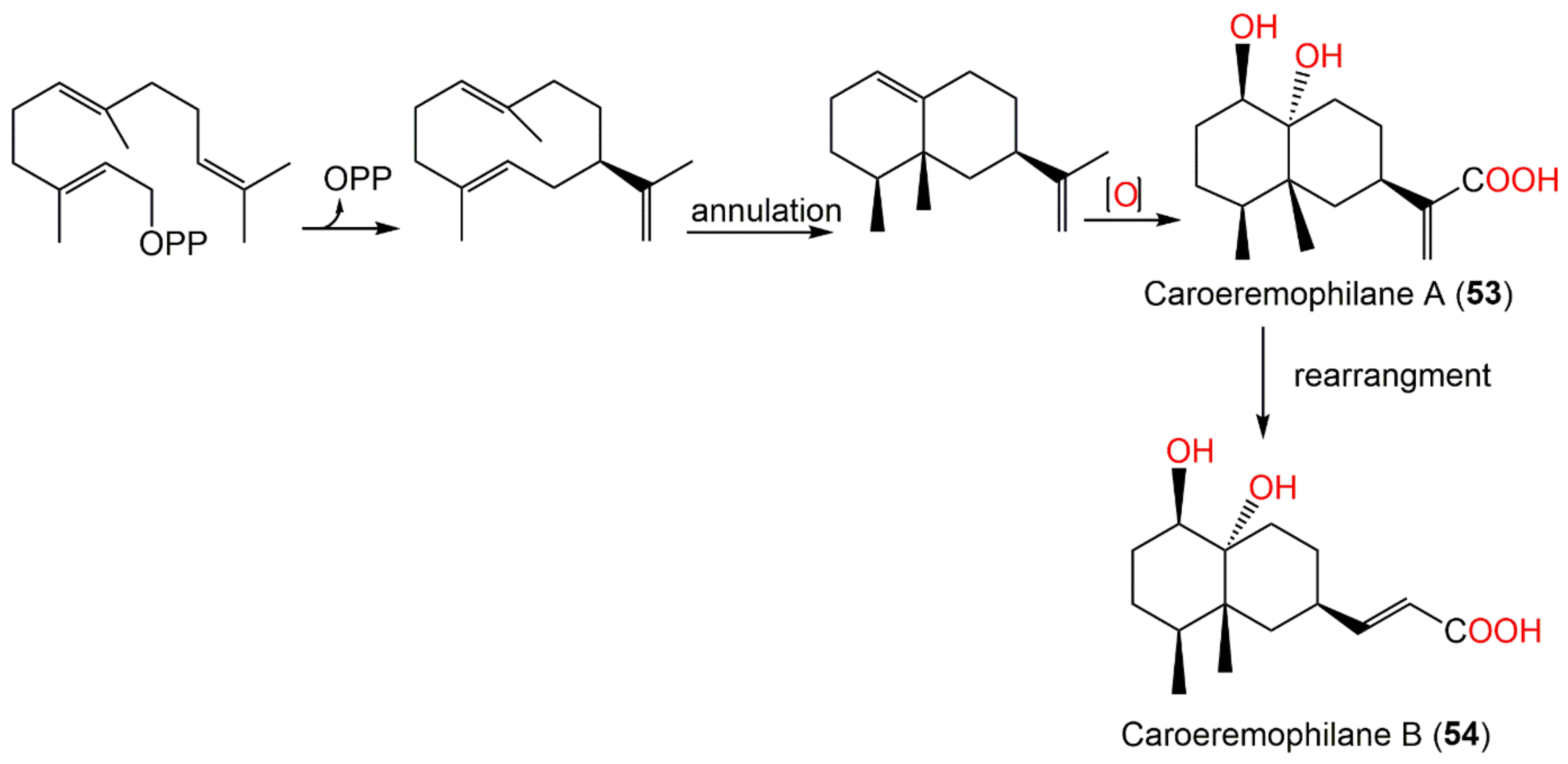 Ethnobotanical Uses, Phytochemical Composition, Biosynthesis, and ...