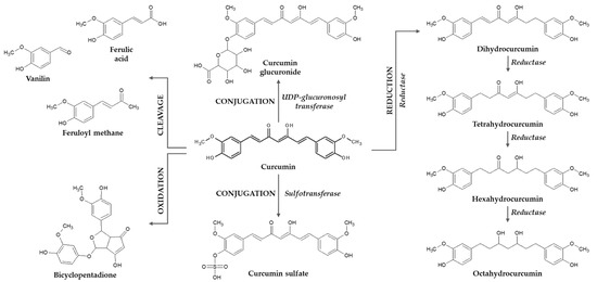 Regulation of Gene Expression through Food—Curcumin as a Sirtuin ...