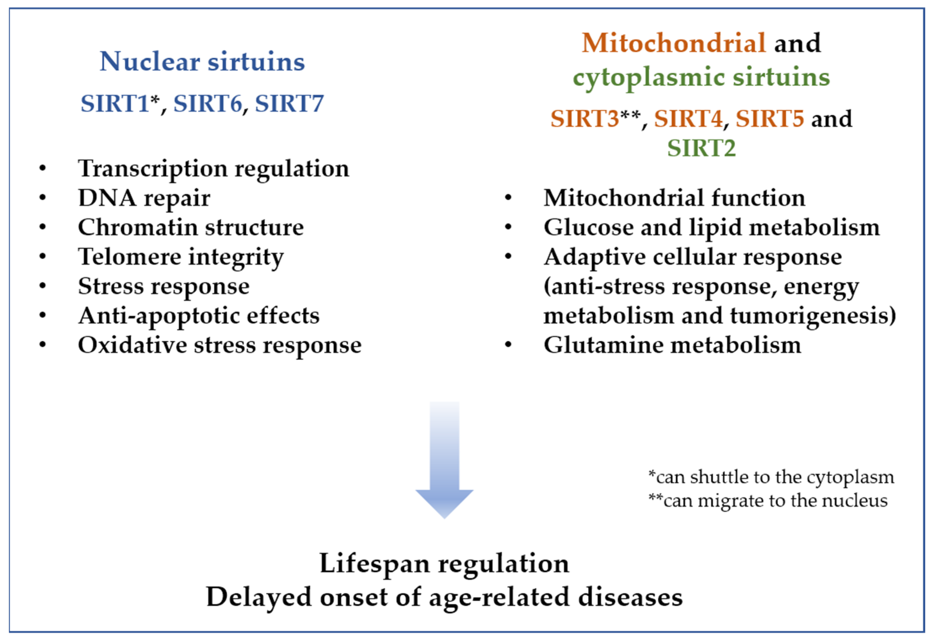 Regulation of Gene Expression through Food—Curcumin as a Sirtuin ...