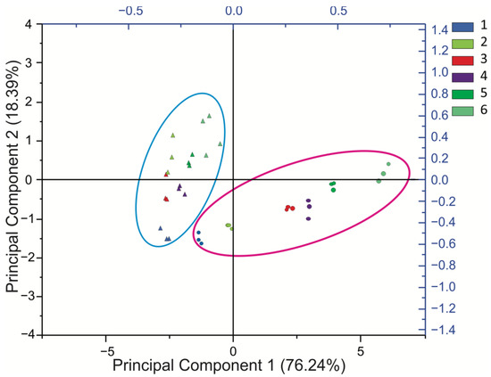 Agave Fructans in Oaxaca’s Emblematic Specimens: Agave angustifolia Haw ...