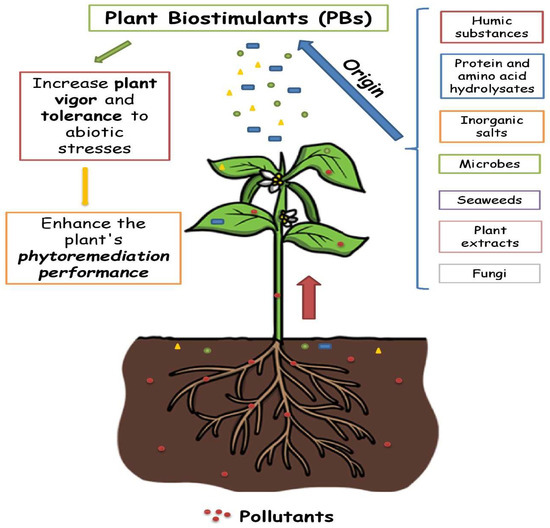 Use of Biostimulants as a New Approach for the Improvement of ...
