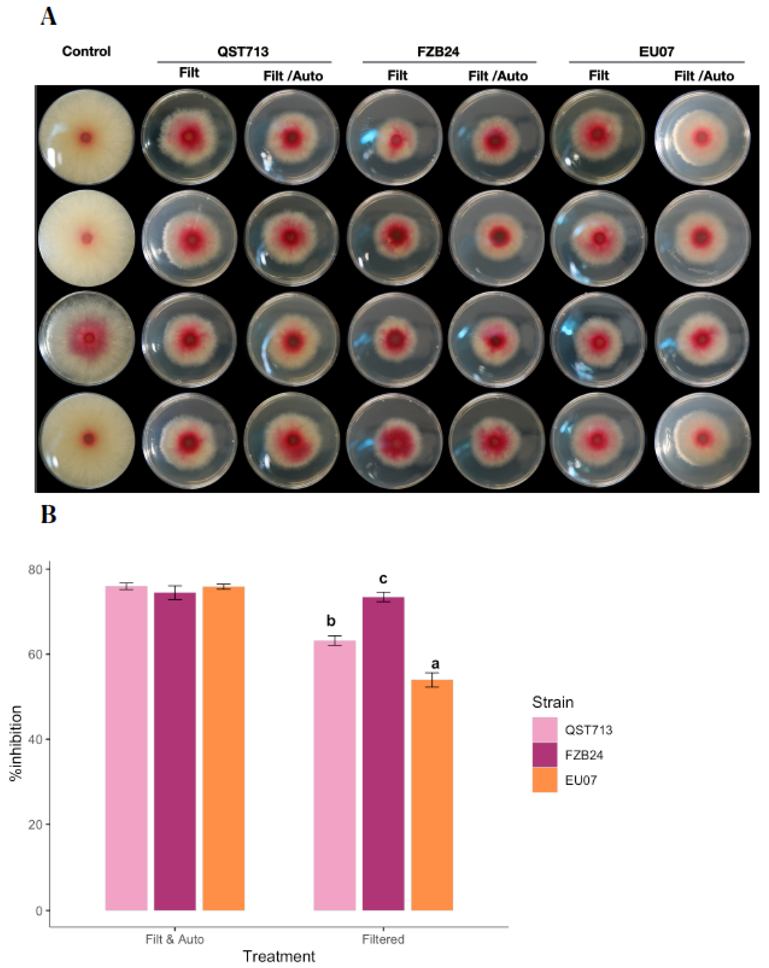 Comparison of Antifungal Activity of Bacillus Strains against Fusarium ...