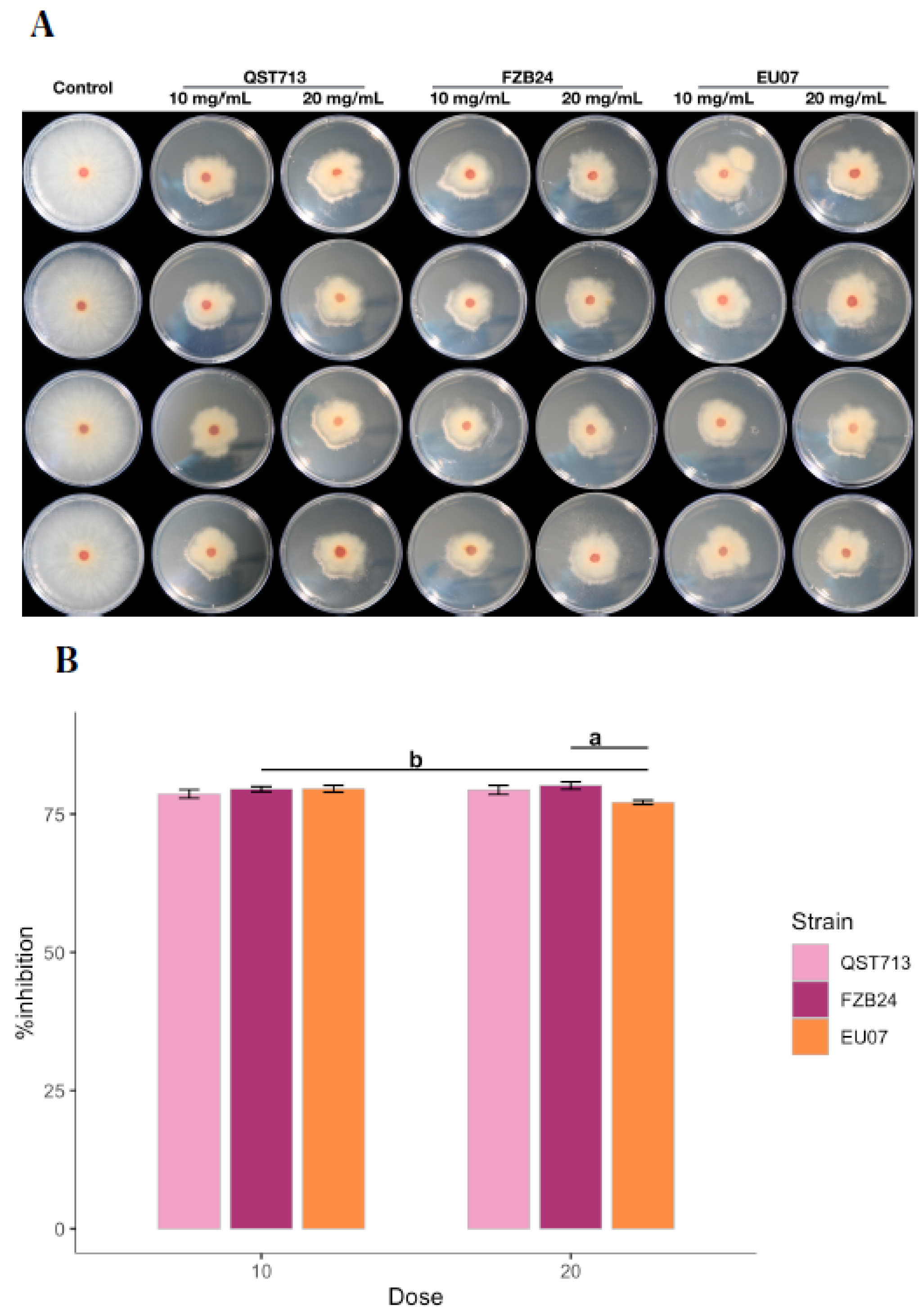 Comparison of Antifungal Activity of Bacillus Strains against Fusarium ...