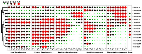 Systematic Analysis of the Grafting-Related Glucanase-Encoding GH9 ...