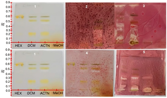 Phytochemical Screening, Antioxidant and Antibacterial Properties of ...