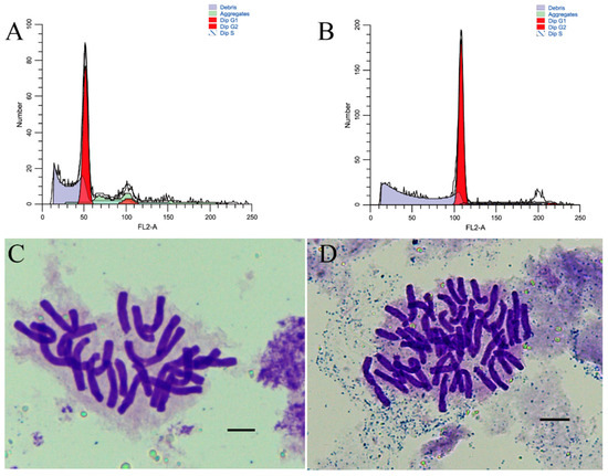Effects of Polyploidization on Morphology, Photosynthetic Parameters ...