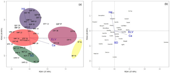 Tree Species Composition and Forest Community Types along Environmental ...