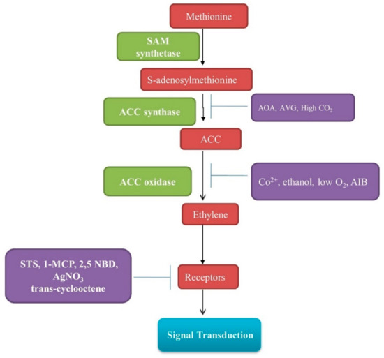 Ethylene Signaling under Stressful Environments: Analyzing ...