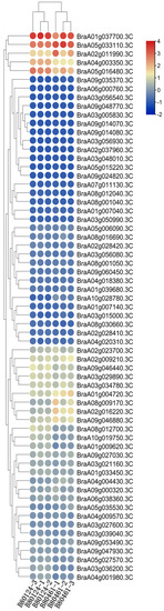 Genome-Wide Identification and Expression Analysis of eIF Family Genes ...