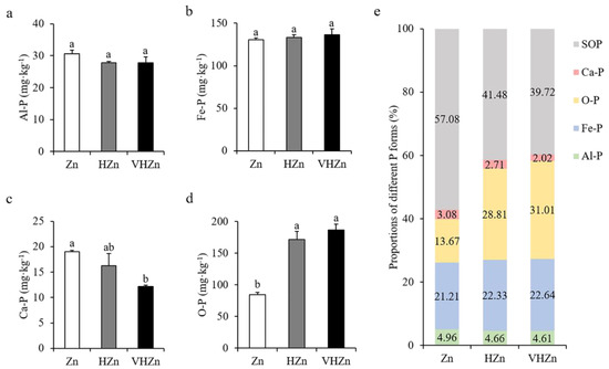 High Levels of Zinc Affect Nitrogen and Phosphorus Transformation in ...