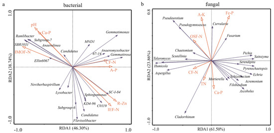 High Levels of Zinc Affect Nitrogen and Phosphorus Transformation in ...