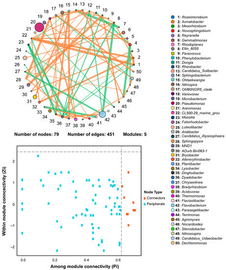 Crop Rotation with Marigold Promotes Soil Bacterial Structure to Assist ...