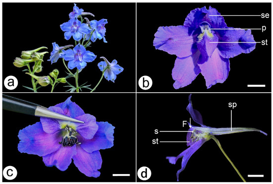 The Biomechanical Screening Game between Visitor Power and Staminode ...