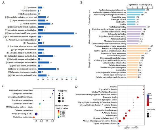 Quantitative Proteomics and Functional Characterization Reveal That ...