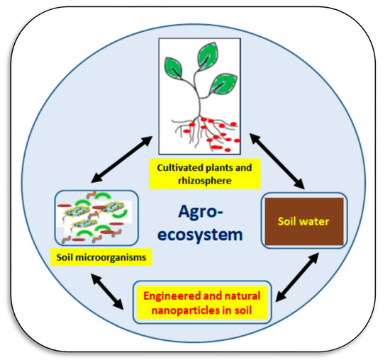 Nano-Restoration for Sustaining Soil Fertility: A Pictorial and ...