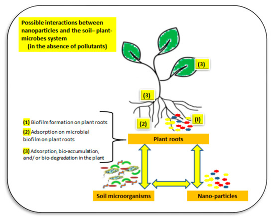 Nano-Restoration for Sustaining Soil Fertility: A Pictorial and ...