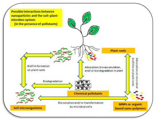 Nano-Restoration for Sustaining Soil Fertility: A Pictorial and ...