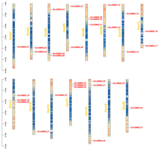 Genome-Wide Identification of SMXL Gene Family in Soybean and ...