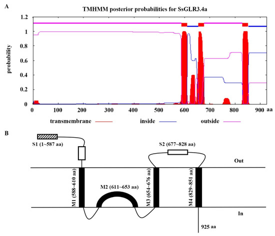 Genome-Wide Identification, Characterization, and Expression Analysis ...